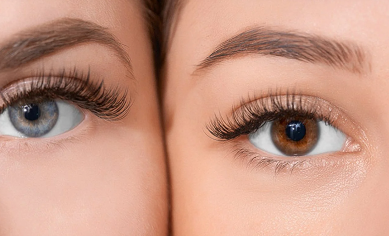 Skin and Makeup Guide for MOB & MOG – Terijon.com